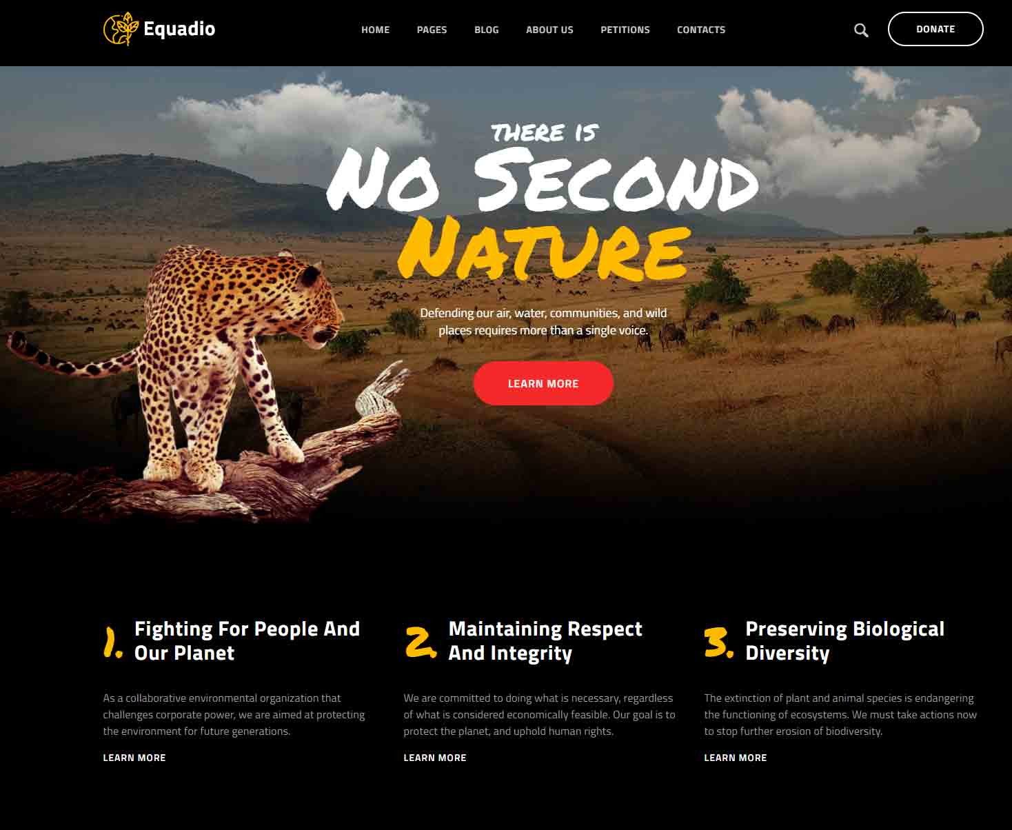 21+ Best Nonprofit WordPress Themes