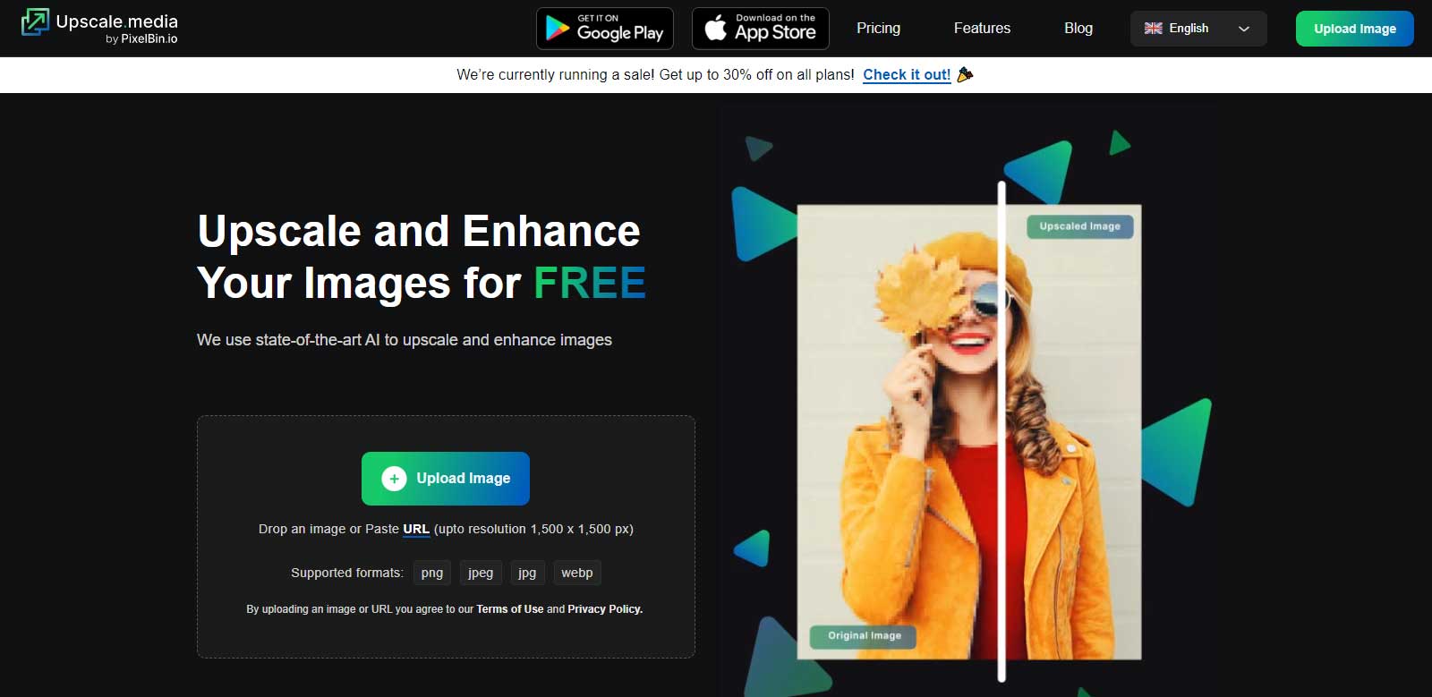 10 Best Web Designer Tools for 2024
