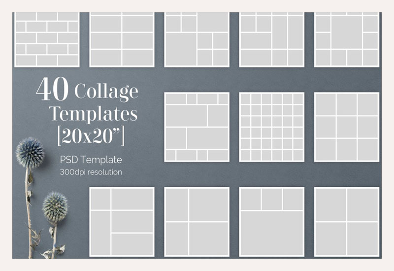 22 Best Photo Collage Templates (Free & Premium)
